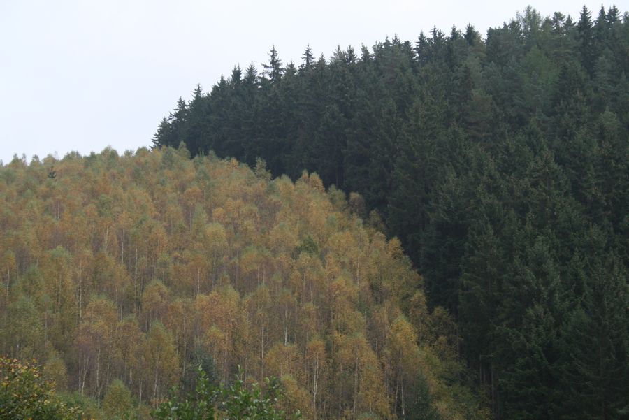 Grenzerinnerungen Fotos entlang der ehemaligen innerdeutschen Grenze ...
